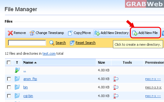 How to upload file through Plesk 10 - GRABWEB [India]